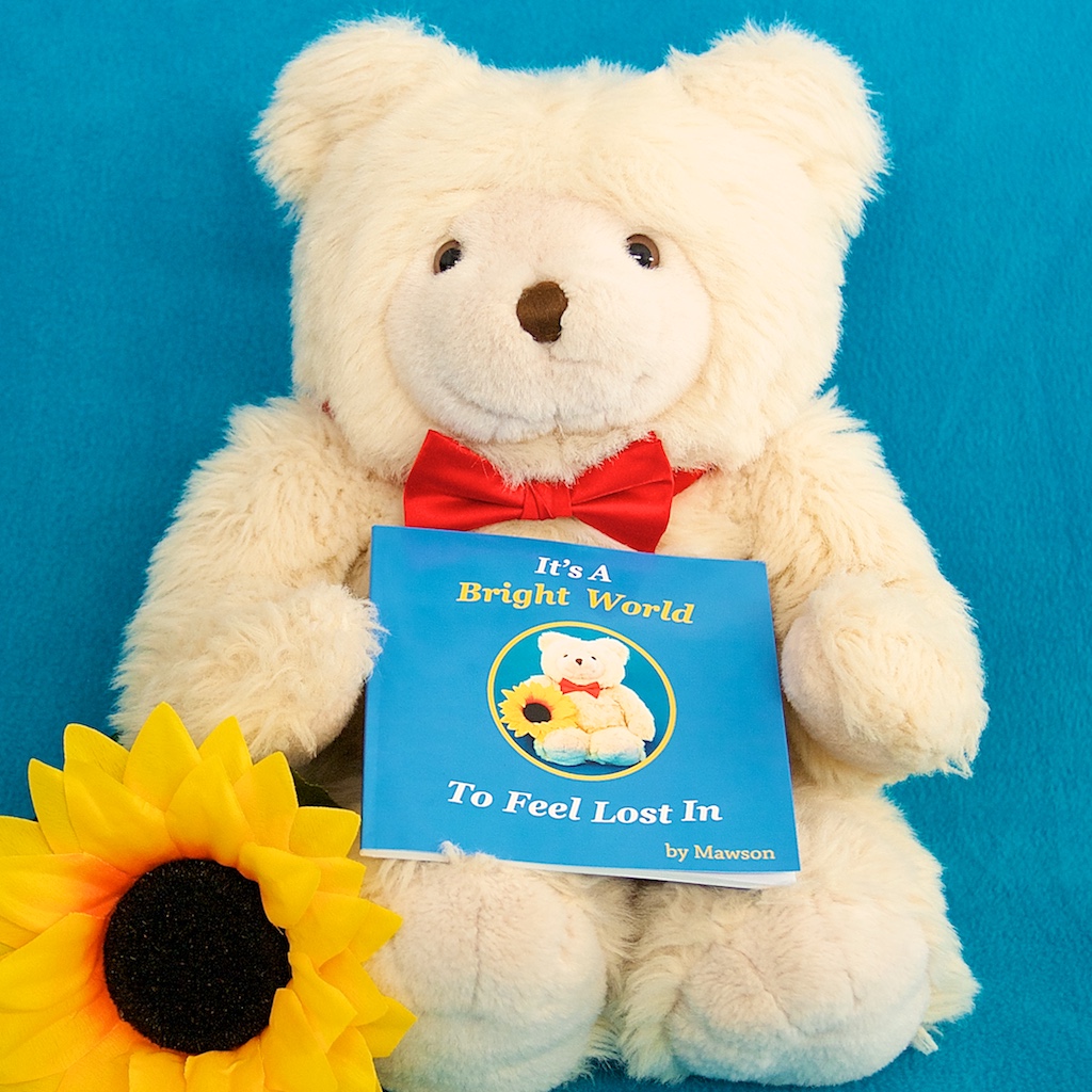 Baffled Bear Books – Books, Bears and Joyful Things