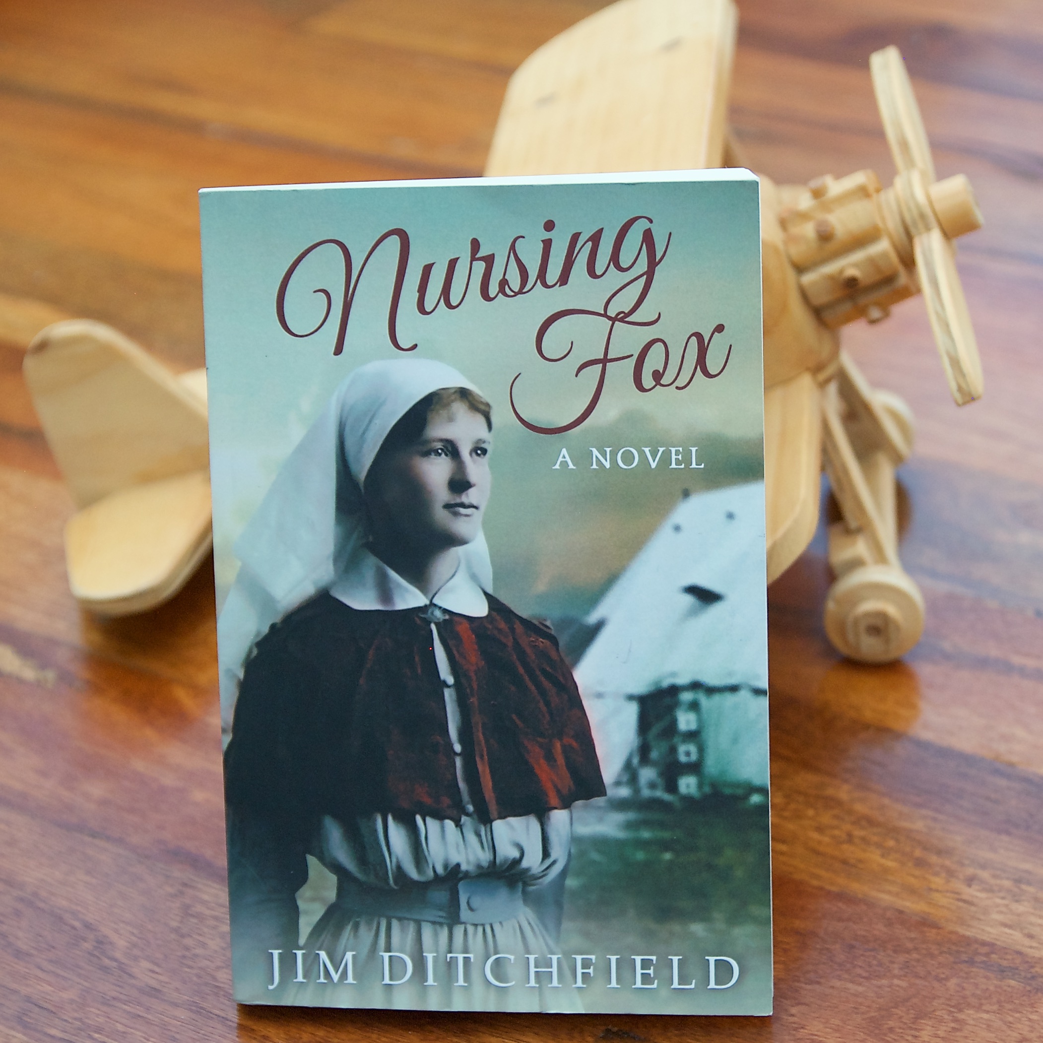 Nursing Fox by Jim Ditchfield: Nurses on the Western Front – Baffled ...
